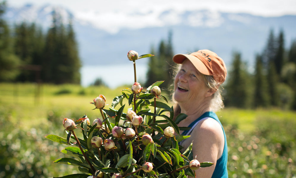 Alaska Homestead Peonies // Alaska Beauty Peony Coop